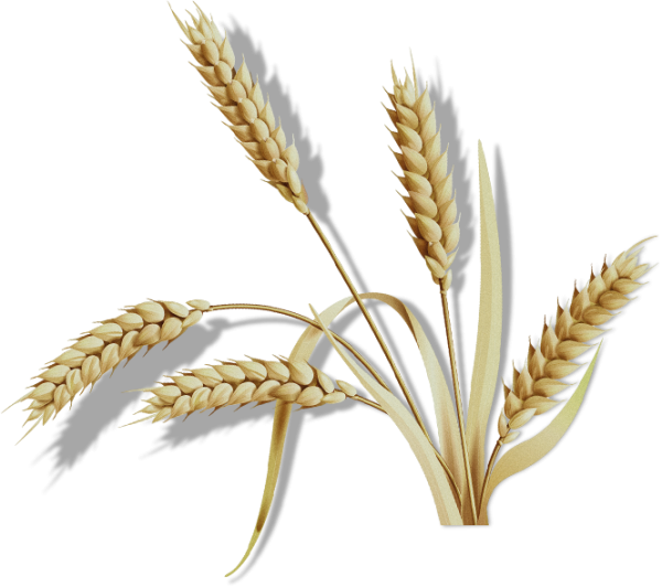 The Par by Parlay 6 Brewing Co. – Parlay 6 Brewing: Twenty-four taps, a ...